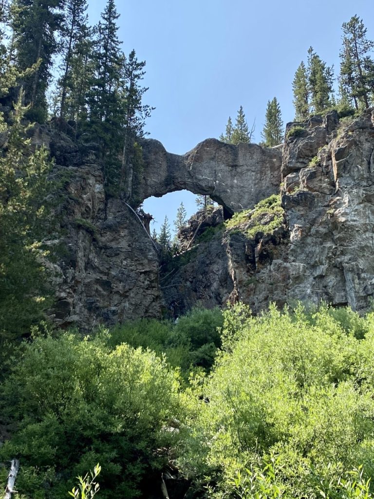 Bridge Bay Campground, Yellowstone – M&M Hit The Road